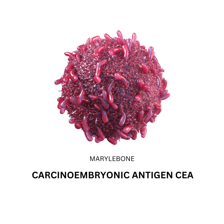 Carcino Embryonic Antigen CEA - Marylebone Diagnostic Centre