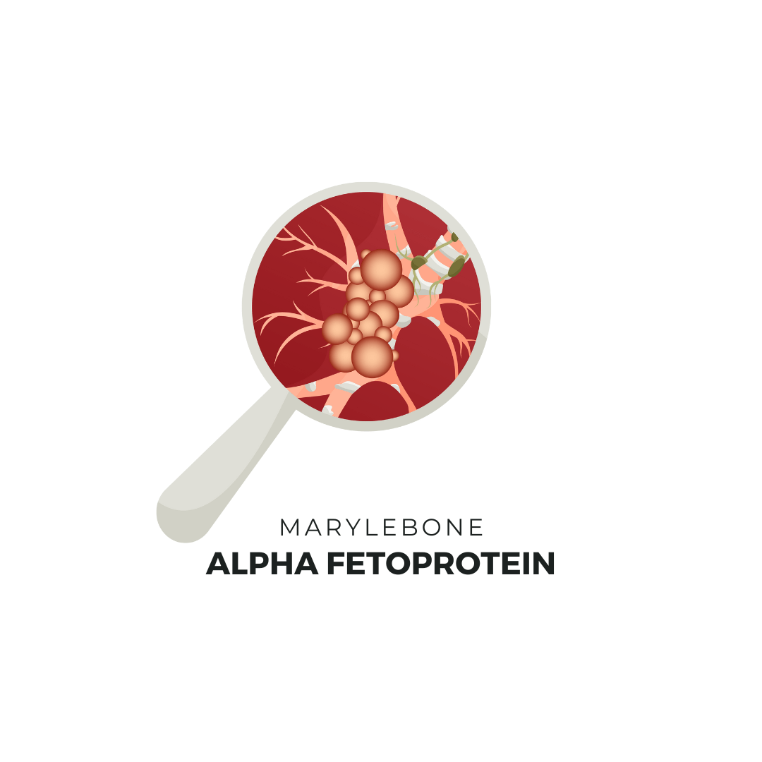 Alpha Fetoprotein - Marylebone Diagnostic Centre