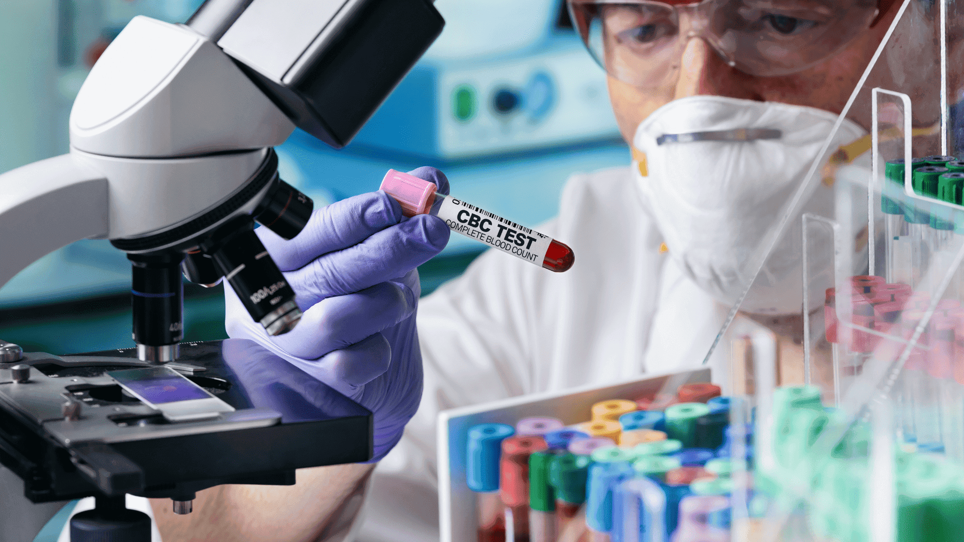 What Does a Full Blood Count (FBC) Actually Tell You? - Marylebone ...
