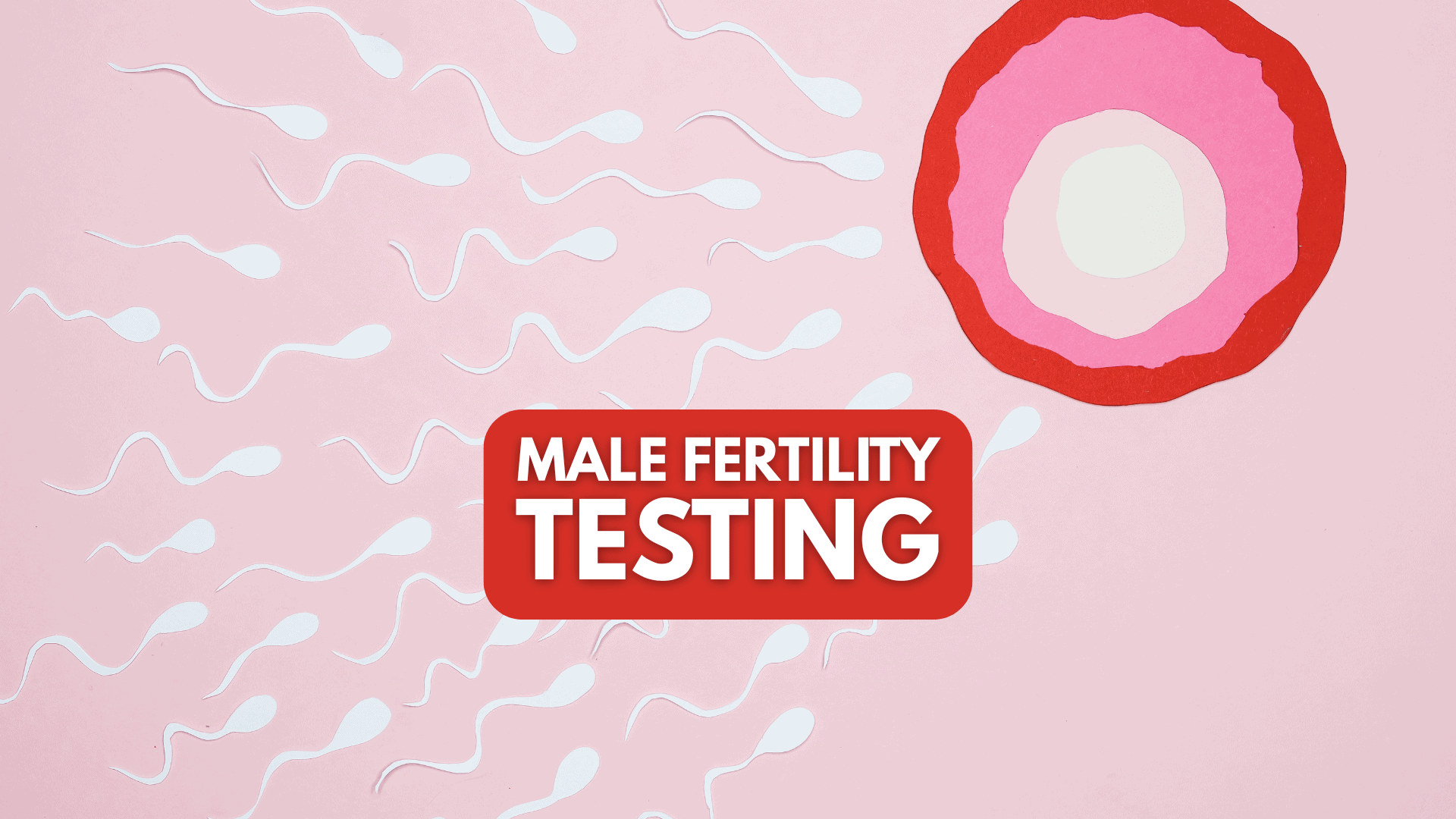 Private Fertility Testing for Men in London: What to Expect ...