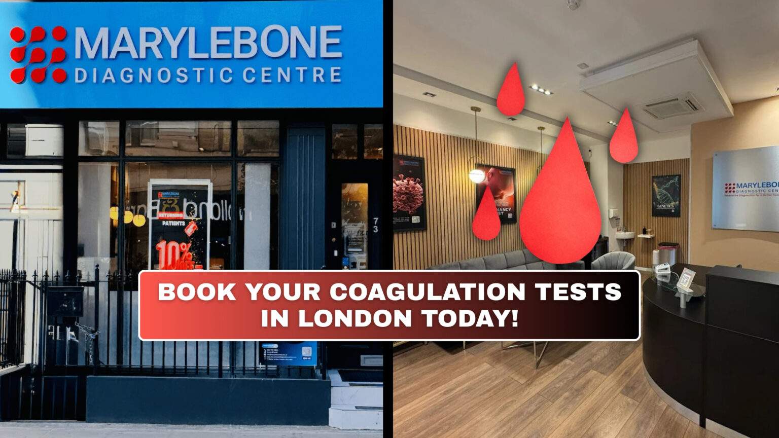 What Does a Full Blood Count Tell You? The Test Every Adult Should ...