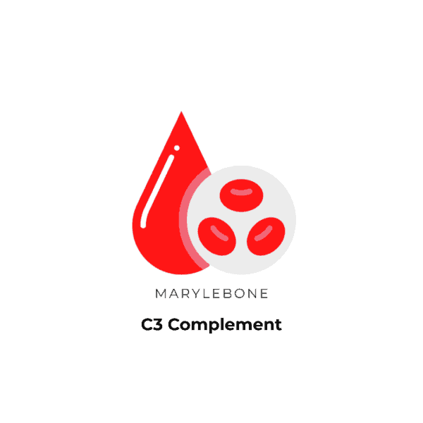 C3 Complement Test – Fast, Reliable Blood Test | Marylebone