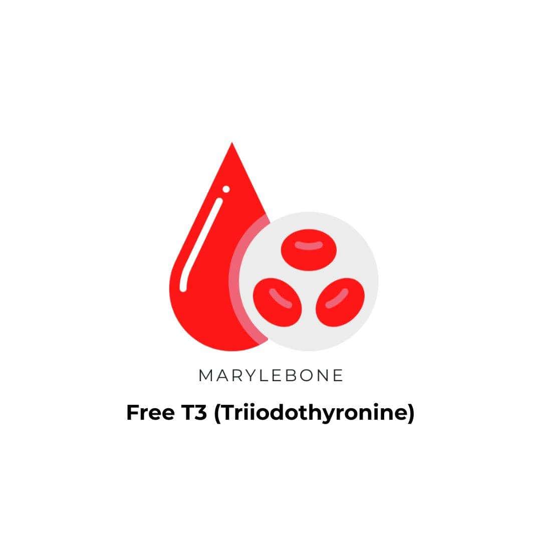 Free T3 Blood Test (Triiodothyronine) | Thyroid Function | Marylebone ...