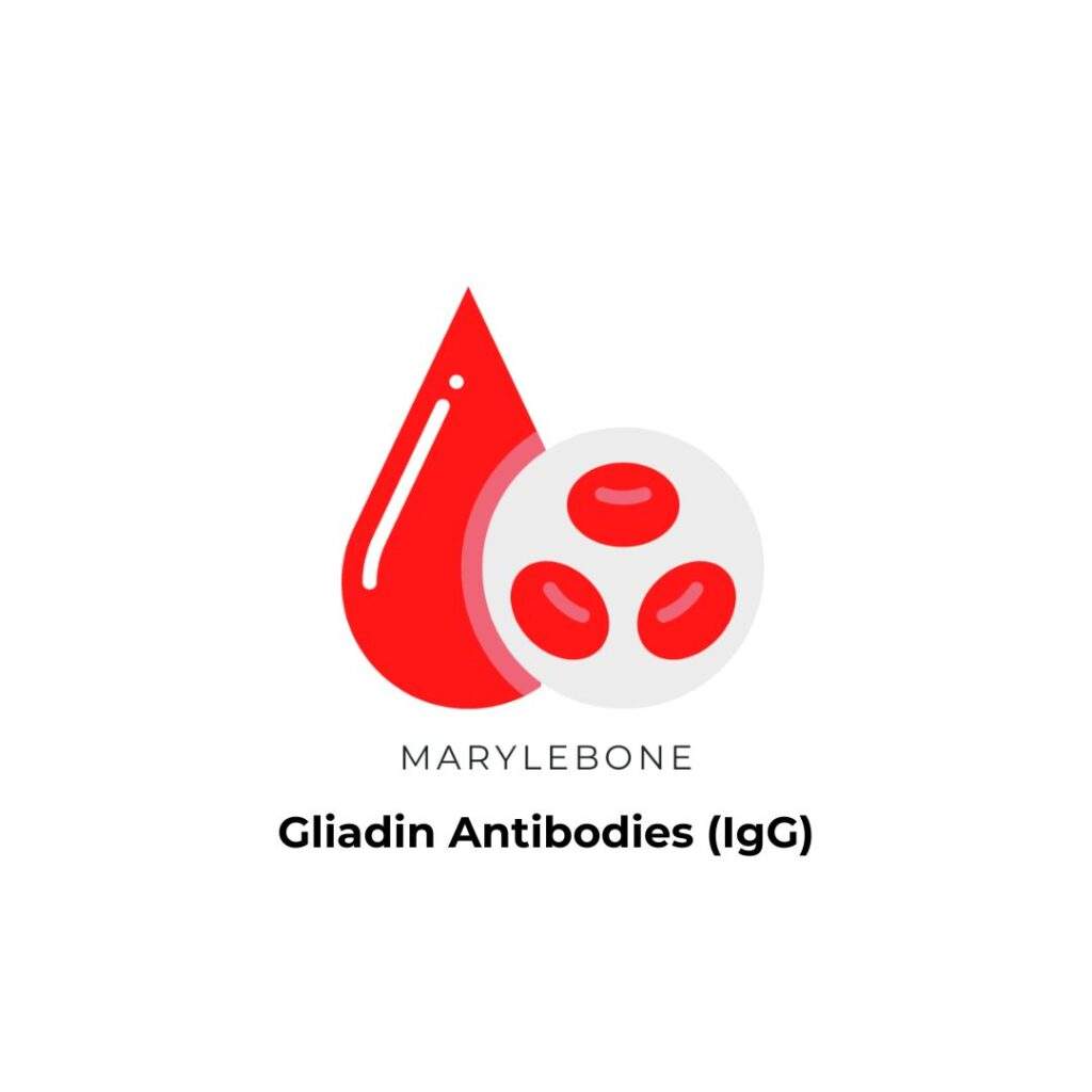 Gliadin Antibodies (IgG) Blood Test London | Marylebone Diagnostic Centre