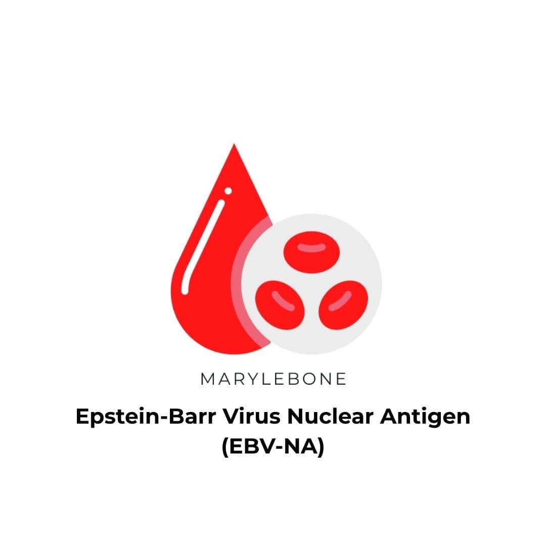EBV-NA Test | Identifying Past Epstein-Barr Virus Infection