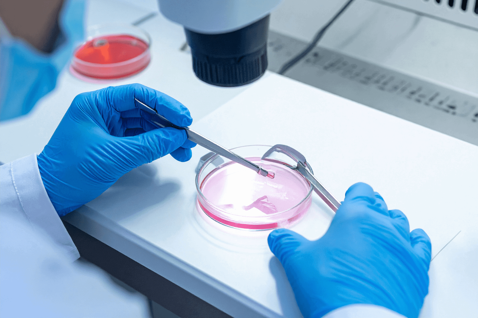 Fertility Tests Explained | Hormone & Sperm Testing London